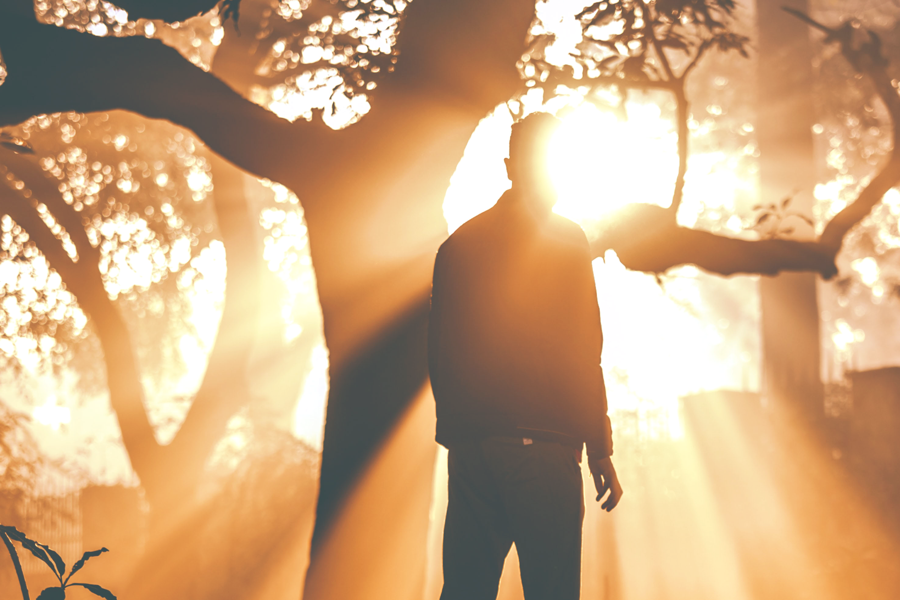 Renovaré | What Your Soul Needs - James Bryan Smith