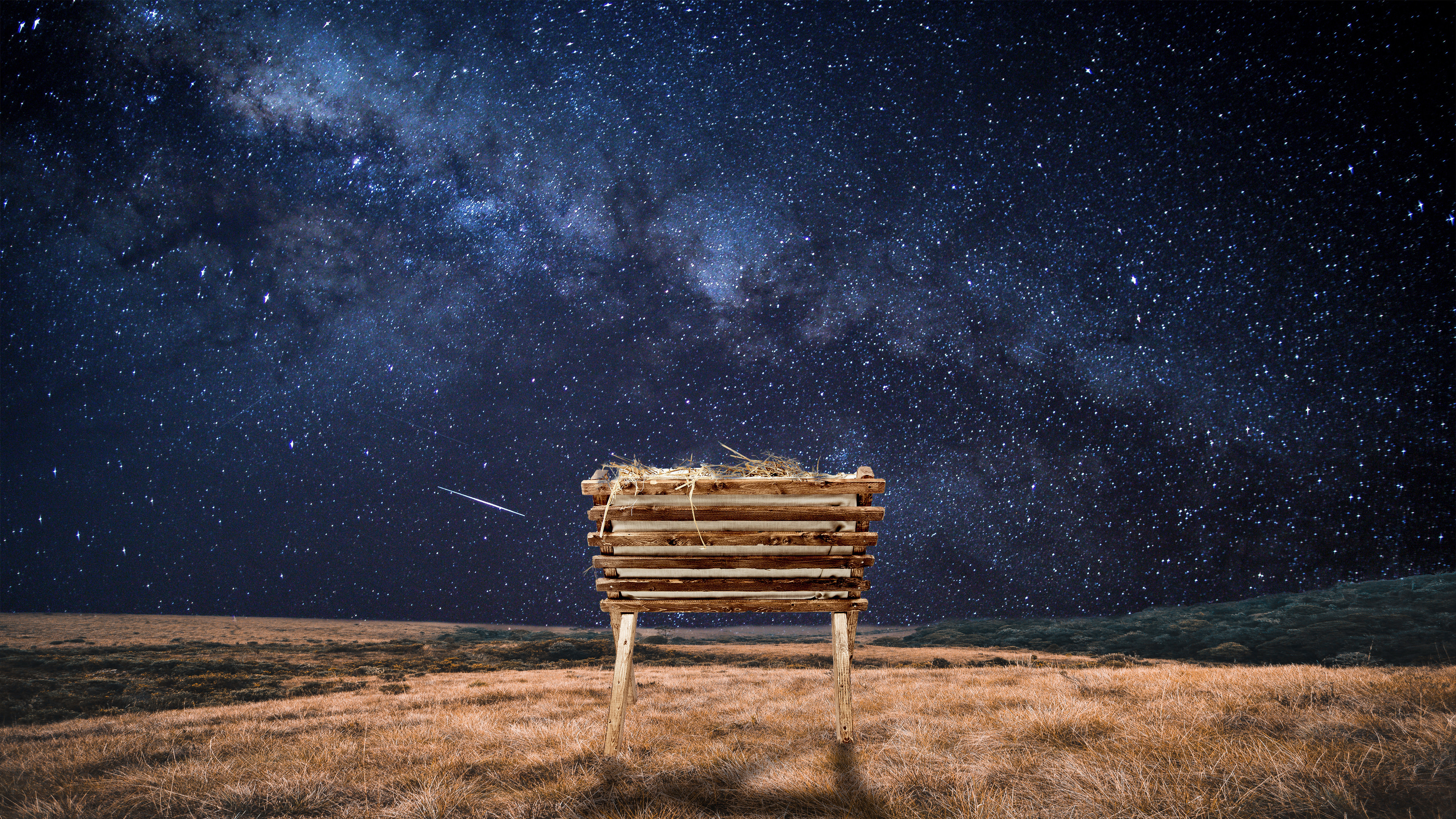 Renovaré | Holy Joy - Richard J. Foster