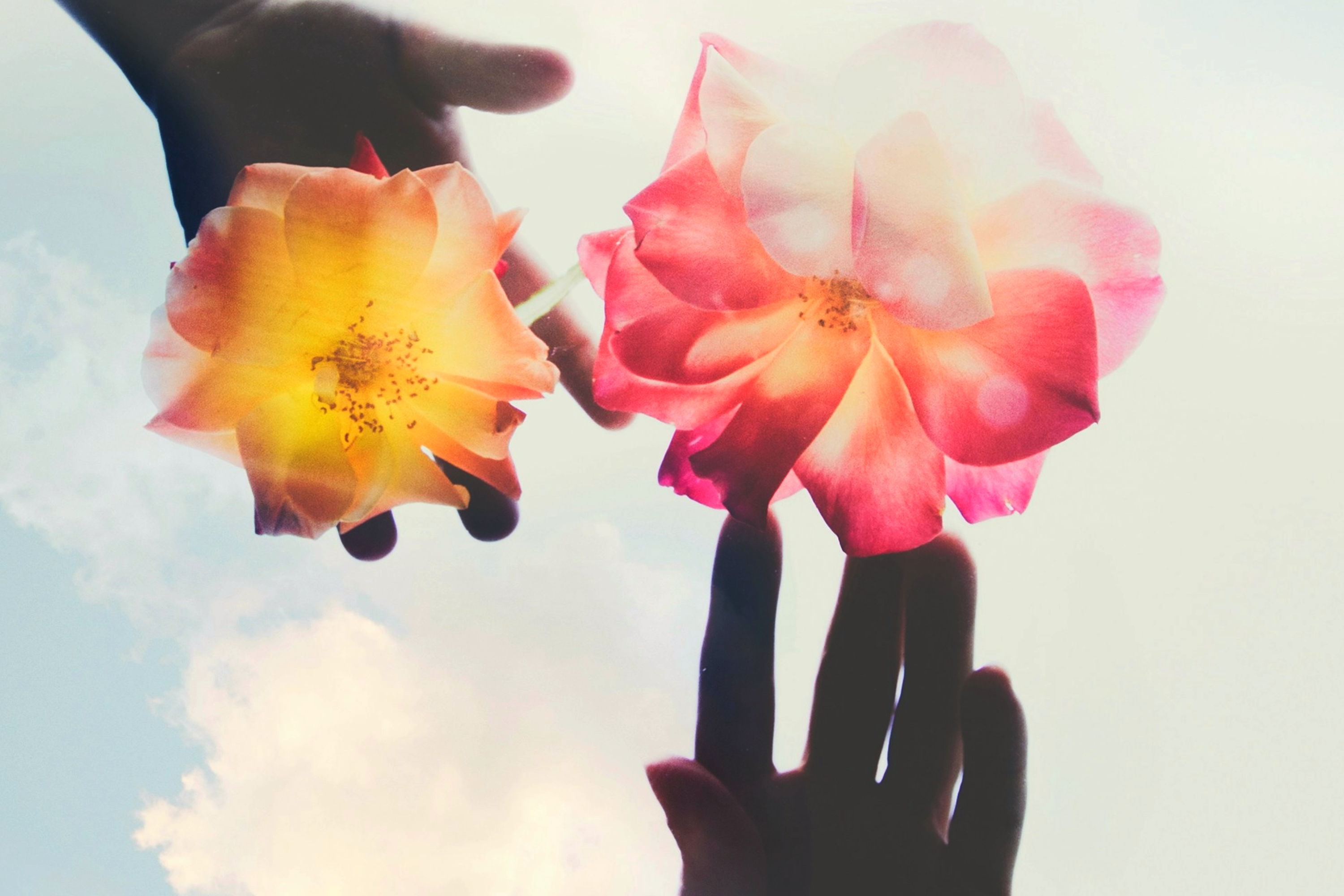 Renovaré | A People, Transforming - Miriam Dixon